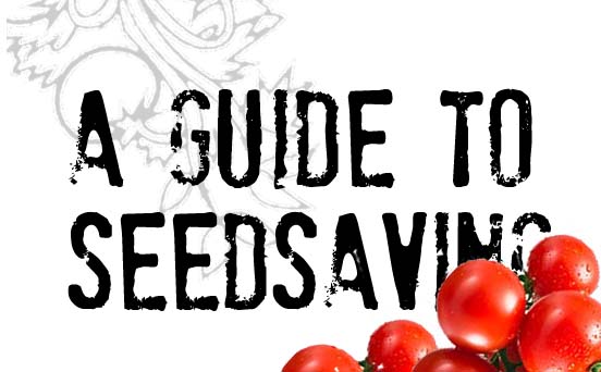 Free Seed Saving Guide - Seedfreaks | Sow the change you want to seed